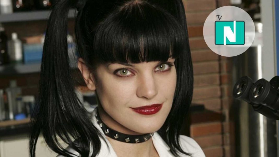 NCIS: “l’aiutante segreto” di Abby Sciuto è sparito dalla serie | Chi ...